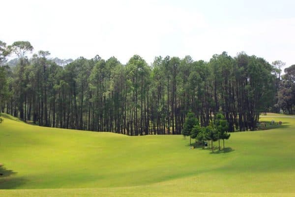 Best Summer Holiday Ranikhet, Uttarakhand - Fun FOOD Frolic