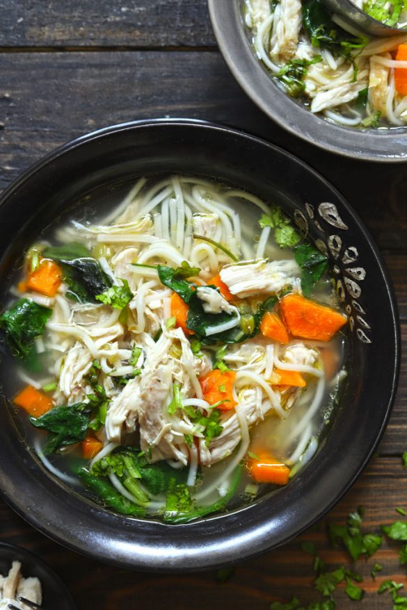 Chicken Noodle Soup (Instant Pot Recipe) - Fun FOOD Frolic