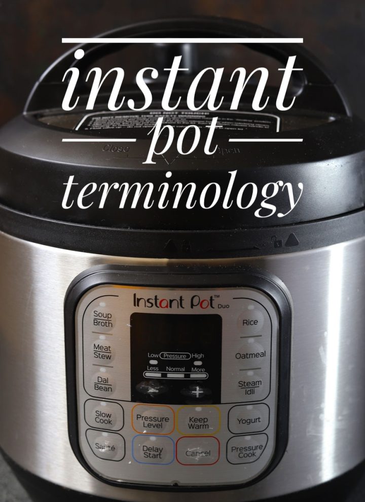 Instant Pot Recipes - Fun FOOD Frolic