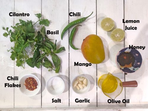 Mango Dip Recipe - Fun FOOD Frolic