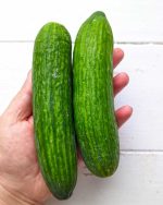Greek Cucumber Sauce Recipe - Fun FOOD Frolic
