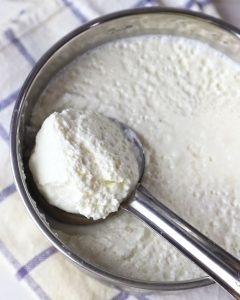 Curd Maker: Should I Buy? - Fun FOOD Frolic