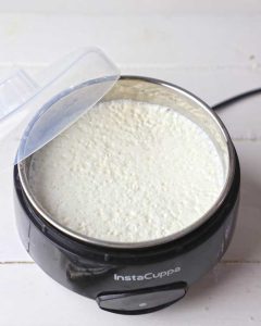 Curd Maker: Should I Buy? - Fun FOOD Frolic