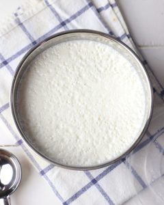 Curd Maker: Should I Buy? - Fun FOOD Frolic